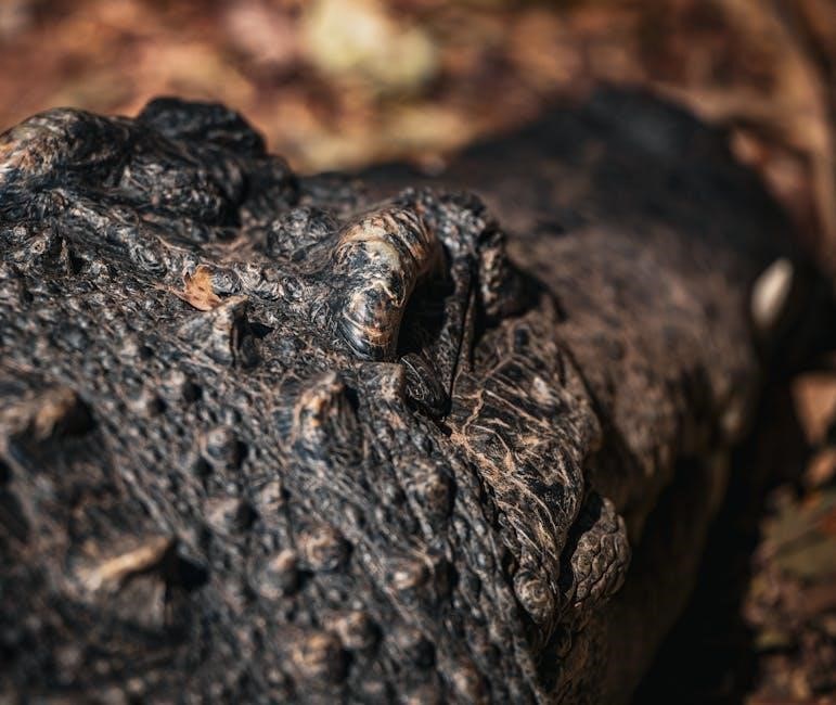 Free Grade 6 Curriculum Canada PDF! Ace Your Studies!